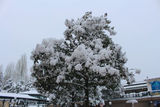 Virtual Tour of Disneyland Paris... In the Snow! - Disney Travel Babble