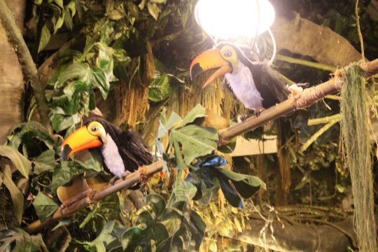 A Golden Afternoon in Disneyland Paris - Disney Travel Babble