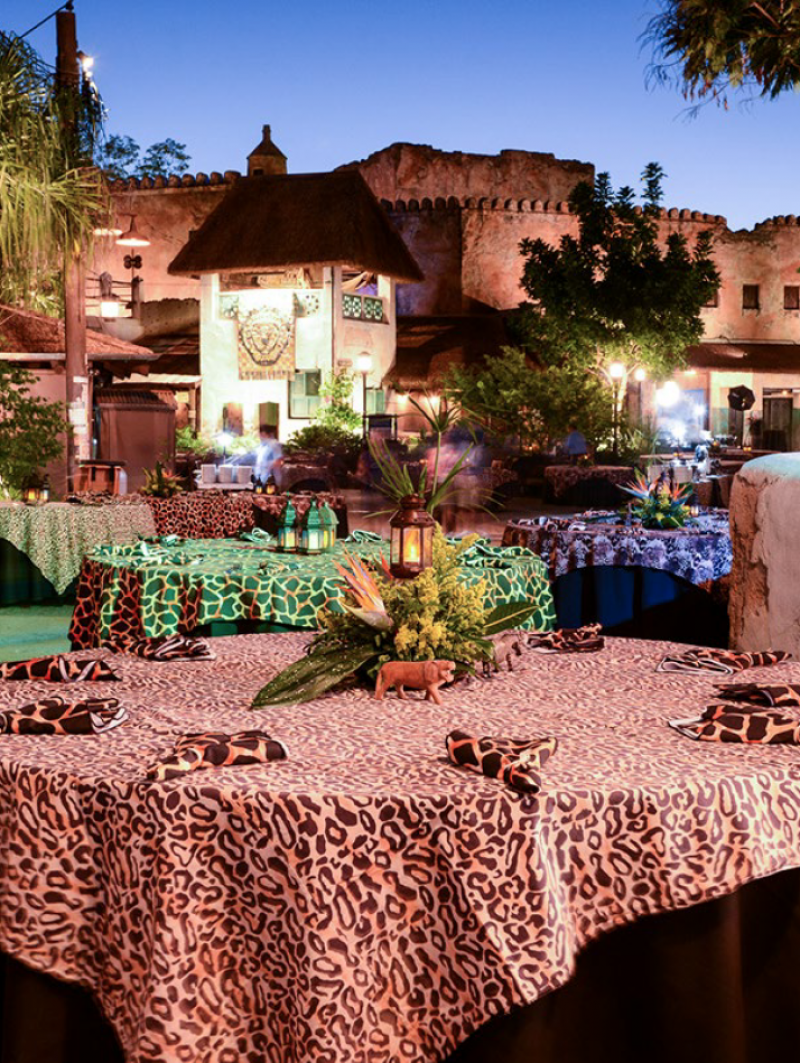 Harambe Street & Theater District – Animal Kingdom • Fairytale Weddings ...