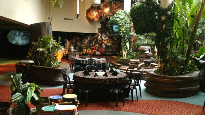 Conservation Station – Animal Kingdom • Fairytale Weddings Guide