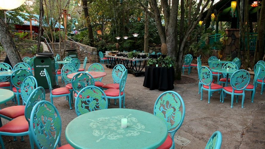 Flame Tree Gardens – Animal Kingdom • Fairytale Weddings Guide