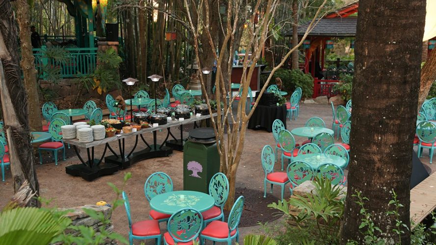 Flame Tree Gardens – Animal Kingdom • Fairytale Weddings Guide