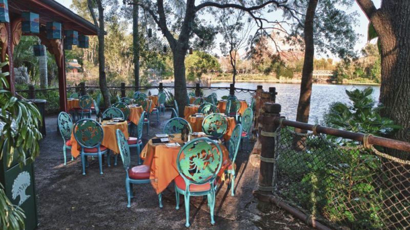 Flame Tree Gardens – Animal Kingdom • Fairytale Weddings Guide