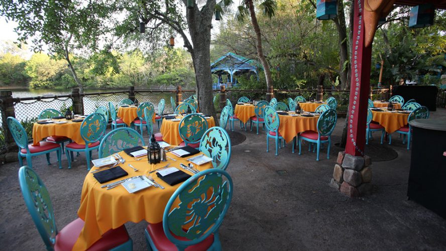 Flame Tree Gardens – Animal Kingdom • Fairytale Weddings Guide