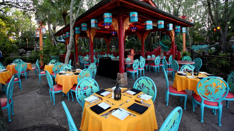 Flame Tree Gardens – Animal Kingdom • Fairytale Weddings Guide